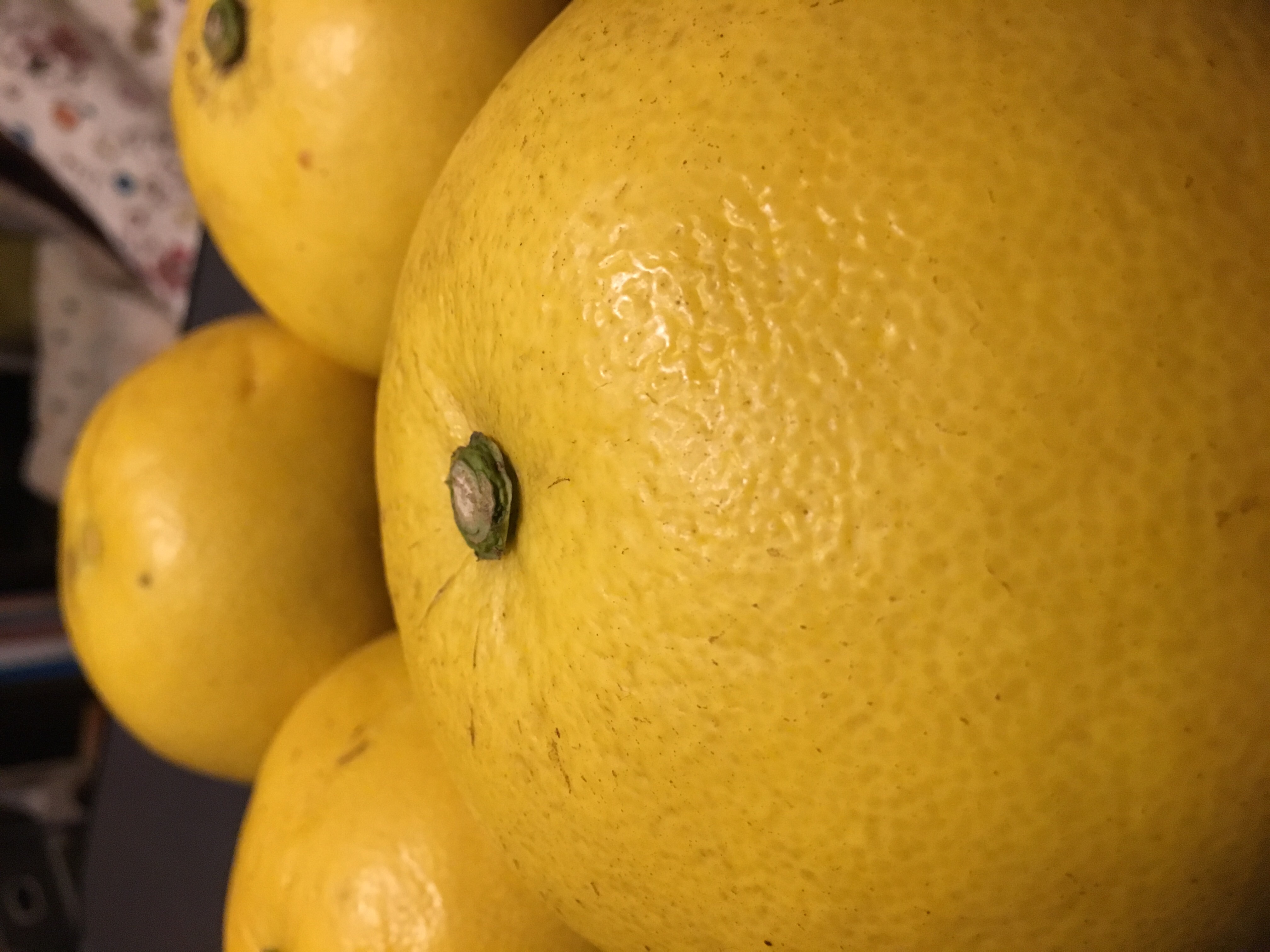 学校公演と文旦と。。 - 【劇団赤鬼】Gekidan Akaoni Official Site